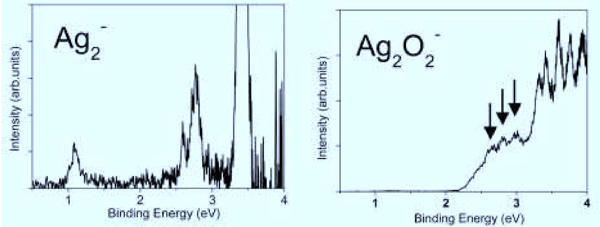 Photoelectron spectra of the ground states of agy and ag,o;