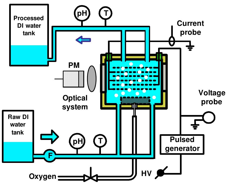 Schematic diagram of the pdbw reactor system os tapvpuel