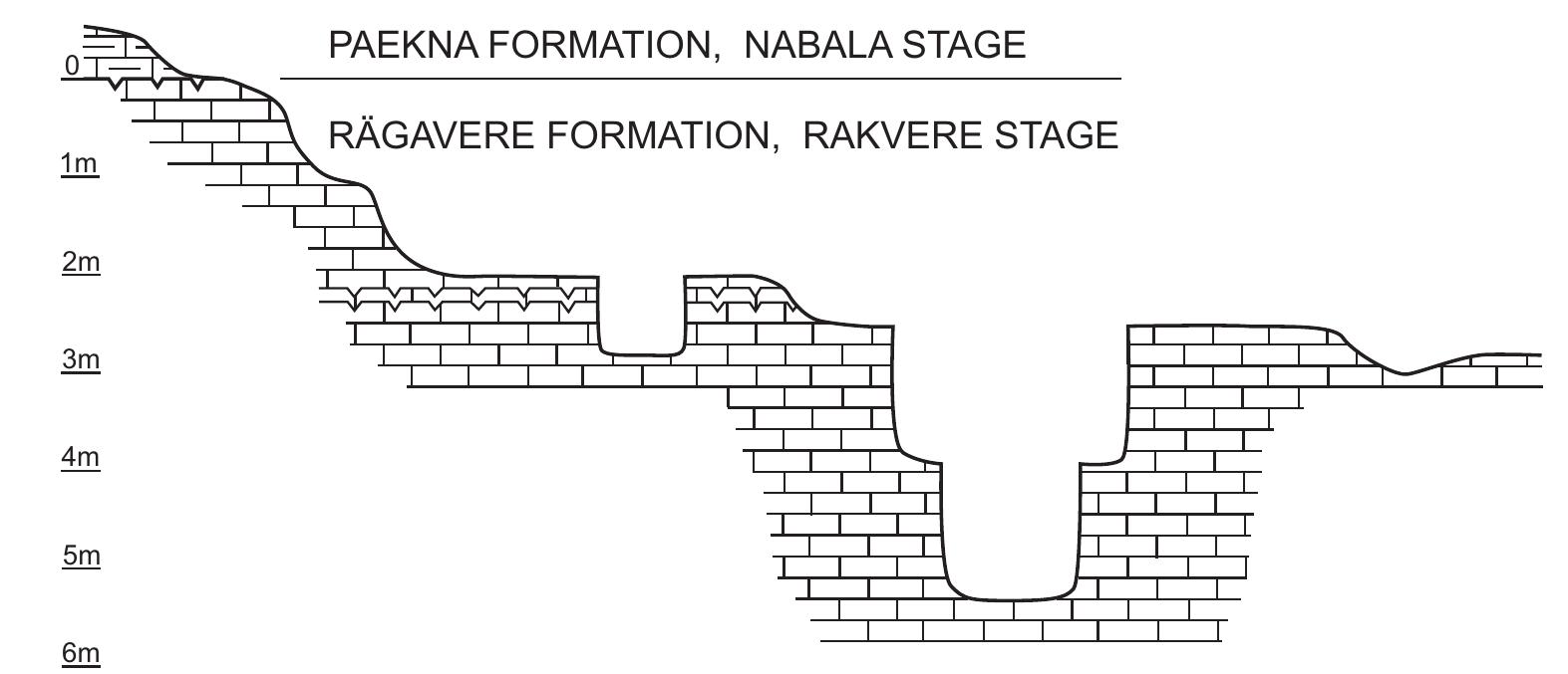 Figure 37 - from New palaeontological finds from the