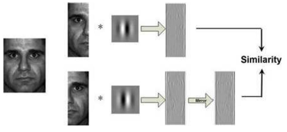 Evaluation Of Facial Symmetry Using Gabor Filters The
