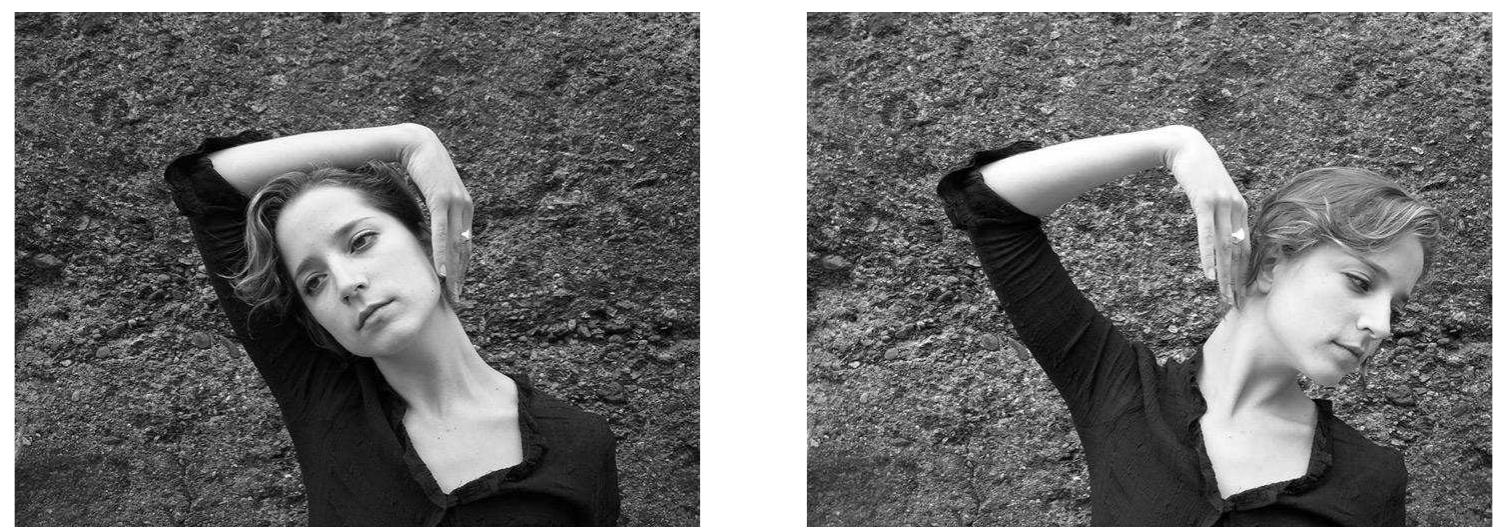 Apparent motion of the human body. when alternately shown