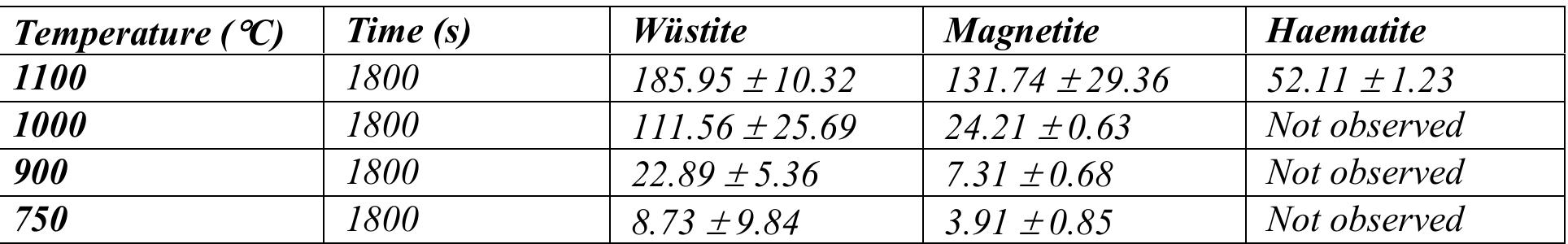 Steel oxide scale phases grain size (um-diameter) in