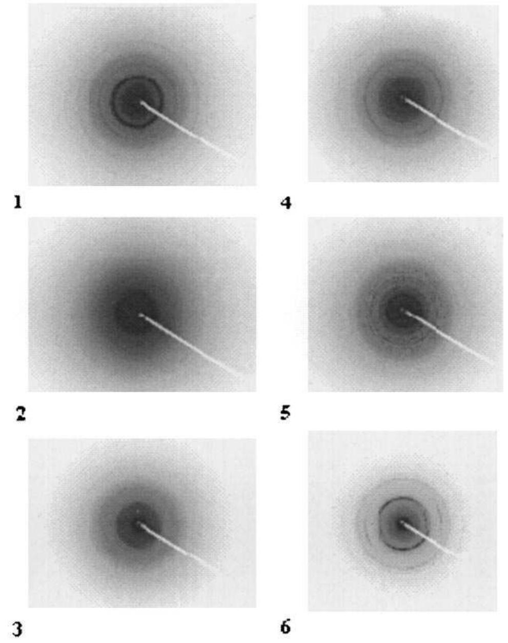 Electron Diffraction Patterns Showing The Crystallinity Of