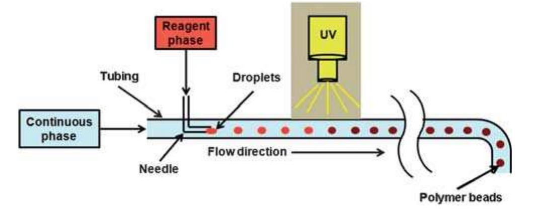 A schematic drawing of the microfluidic setup. the size and