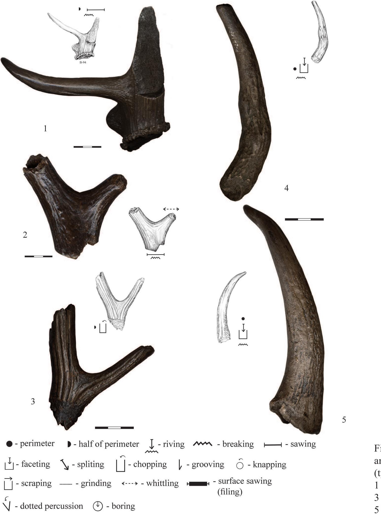 Method proved its efficiency with both bone and antler.