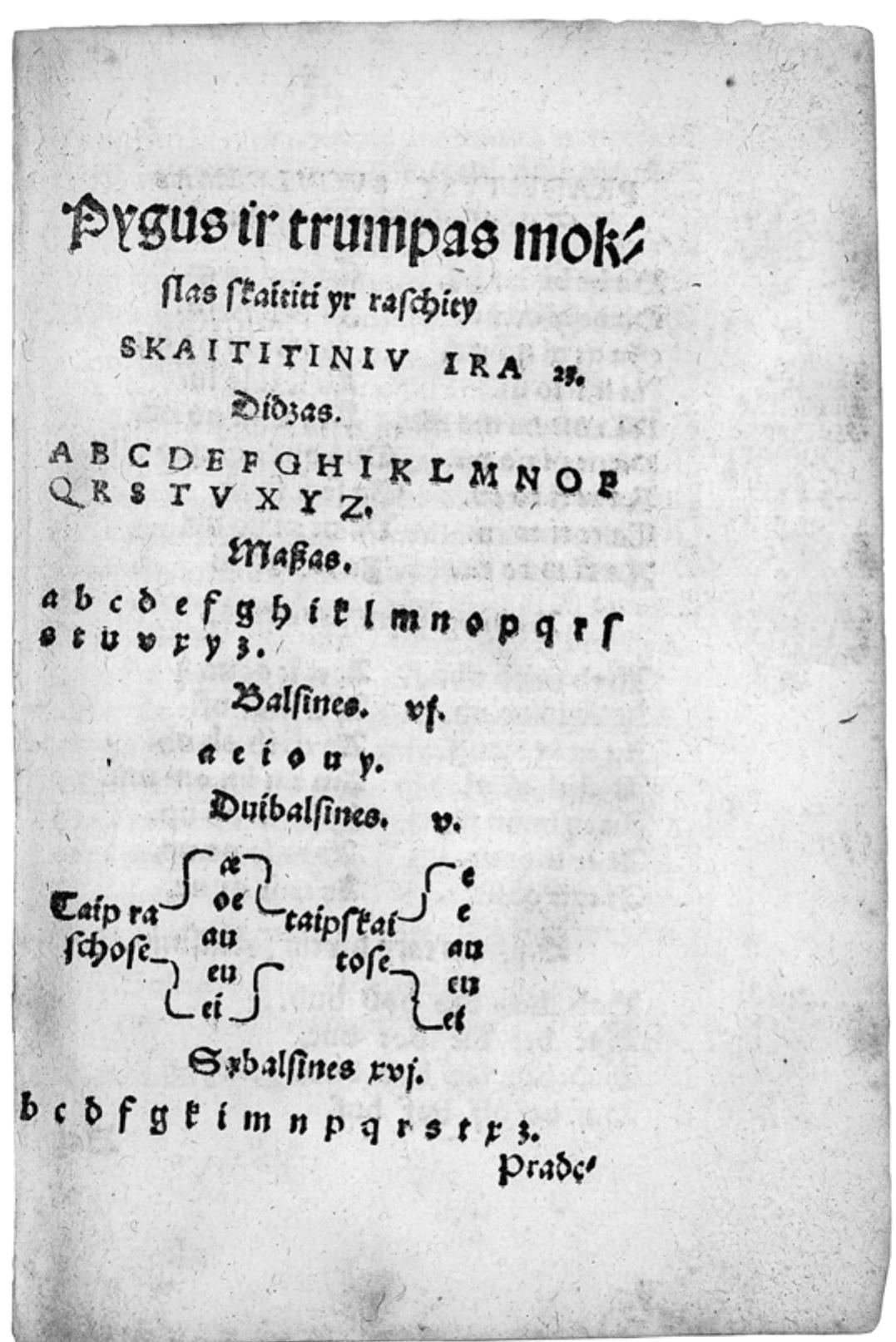 Figure 6 - The Lithuanian Language: Traditions and Trends