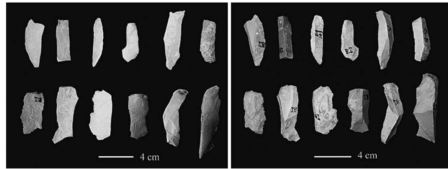 Blades from sdg9 (ventral views are at left and dorsal views