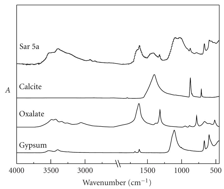 Ftir spectra of samples sg5, sar 5a reference spectra (taken