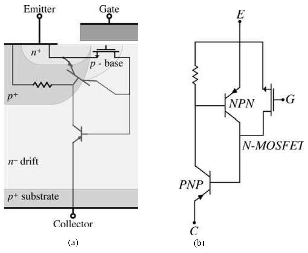 2 the igbt (a) half-cell vertical cross section and (b)
