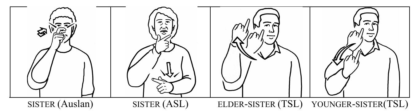(PDF) Australian Sign Language (Auslan): An introduction to the ...