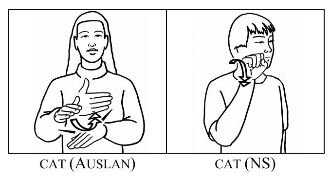 (PDF) Australian Sign Language (Auslan): An introduction to the ...
