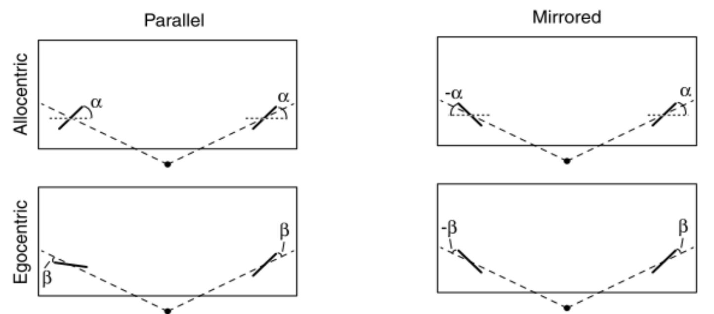 Kappers (2004). egocentric and allocentric reference frames.