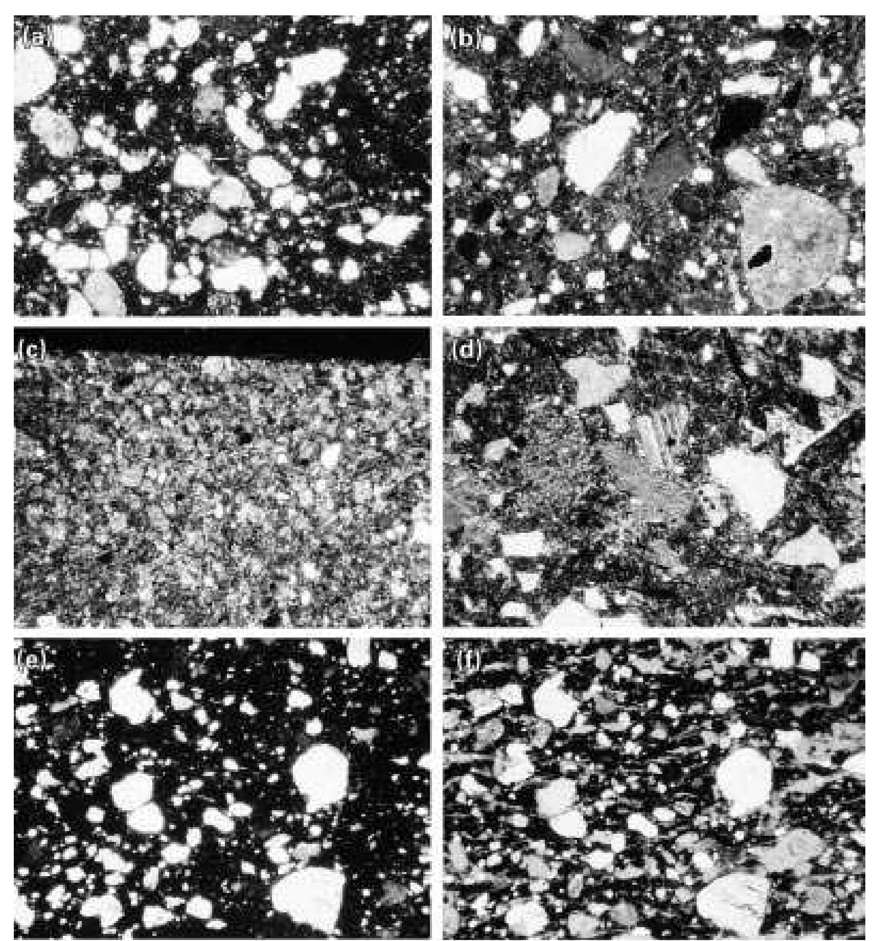 Thin sections of colha sherd samples from study h. all