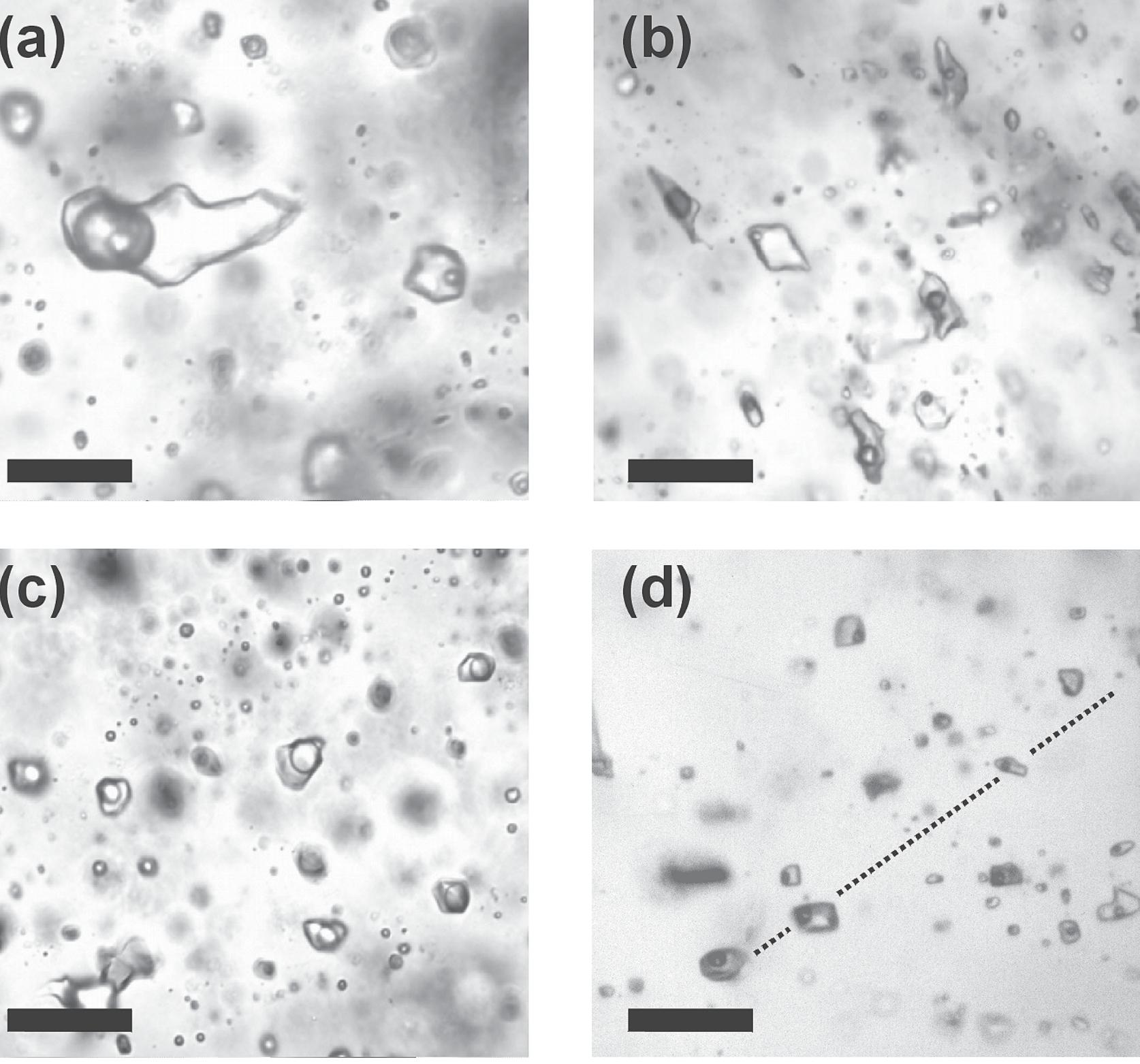‘ig. 7. photomicrographs of fluid inclusions at mount