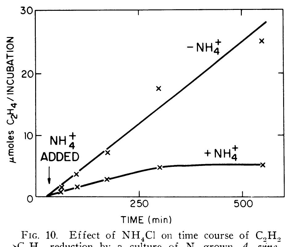 Figure 9 - The acetylene-ethylene assay for N2 fixation: