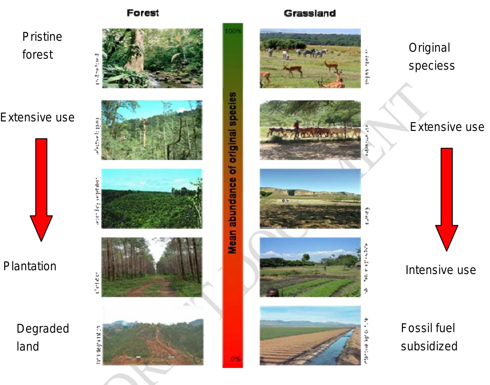 Two examples of degradation pathways showing transition