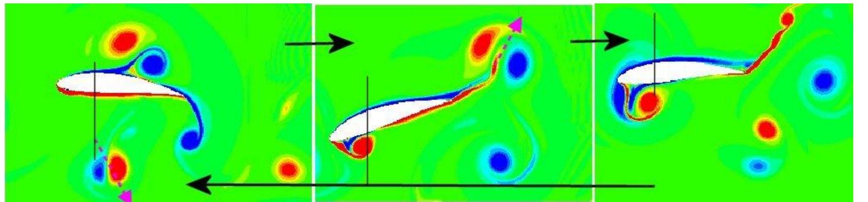 13: vorticity diagram of the aft airfoil with the ml tandem