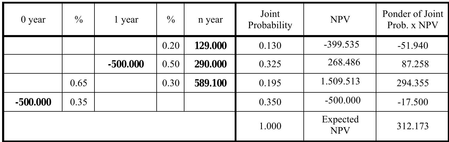 Decision tree analysis and calculating expected npv of the