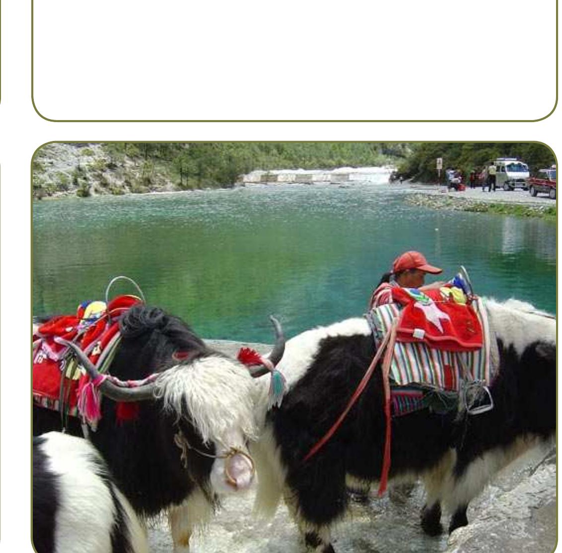Figure 3 - Tourism and Local Economic Development