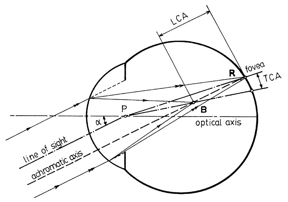 Experiment 1 figure 1. schematic diagram showing the two
