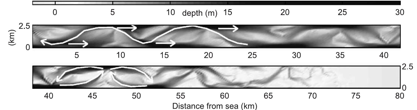 Channel-shoal pattern in process-based model after 120 years