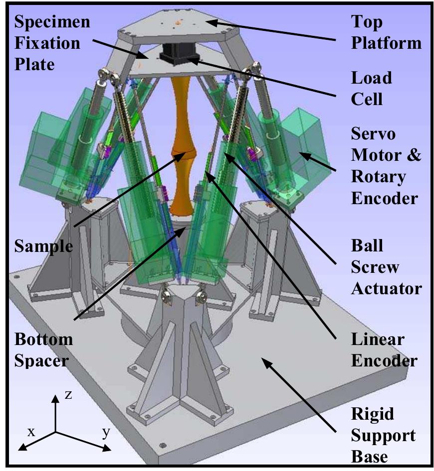 Solid model of the hexapod robot assembly following the