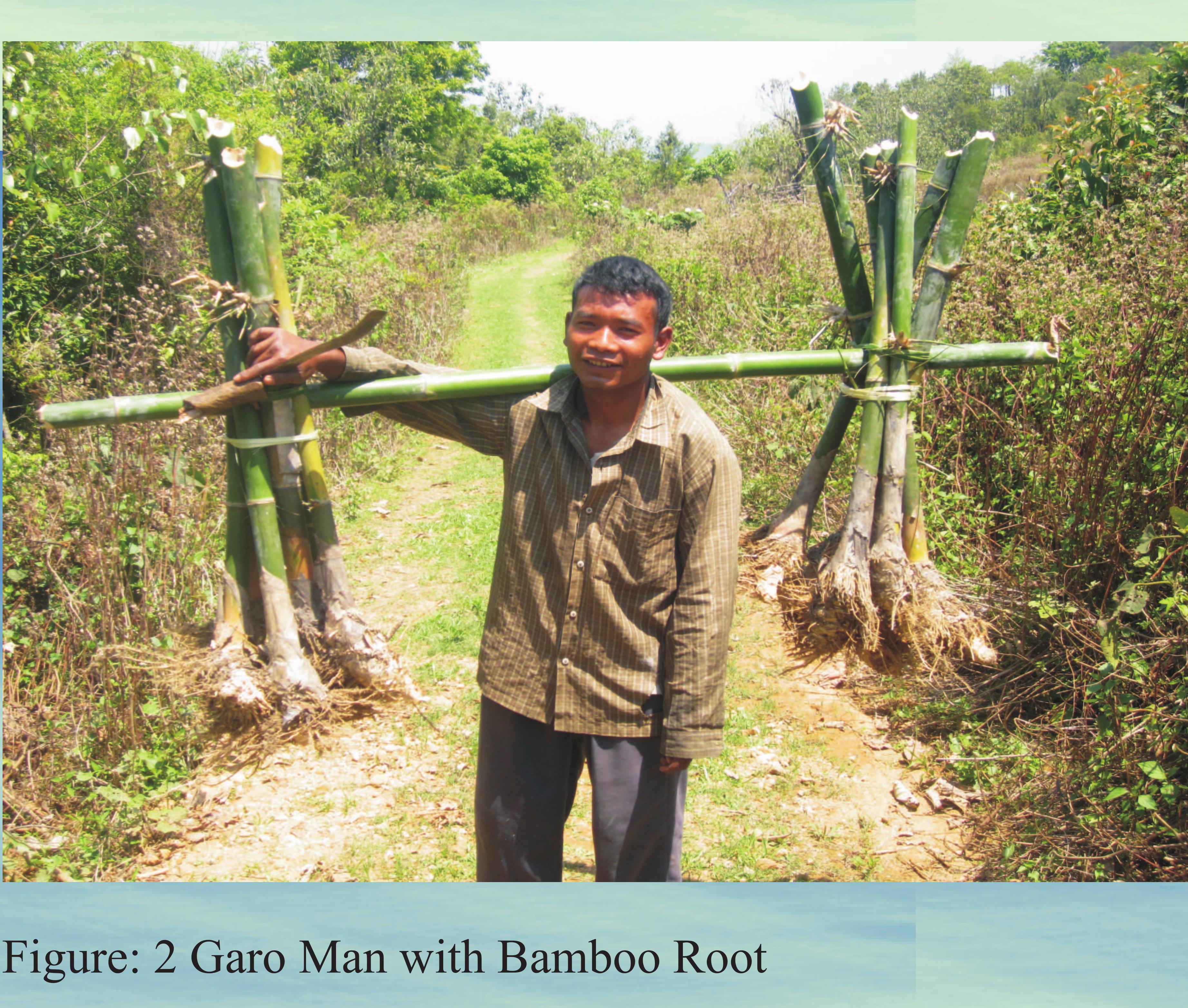 (PDF) Indigenous Garo Community in Garo Hills Meghalaya, North-East India