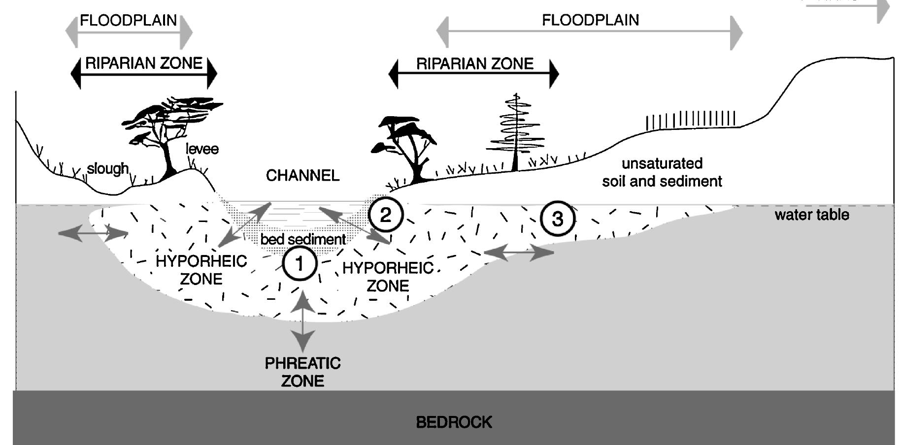 Schematic diagram of the vertical and lateral structure of a
