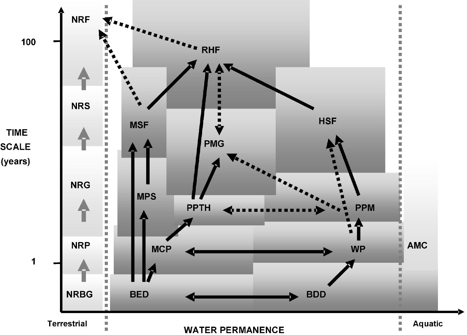 Schematic representation of vegetation succession stages