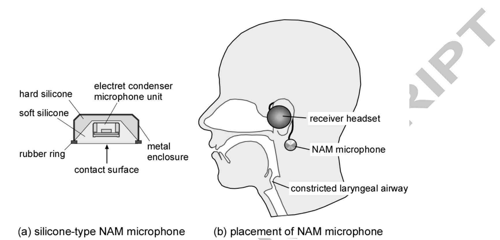 Nam microphone and its placement. (a) typical silicone-type
