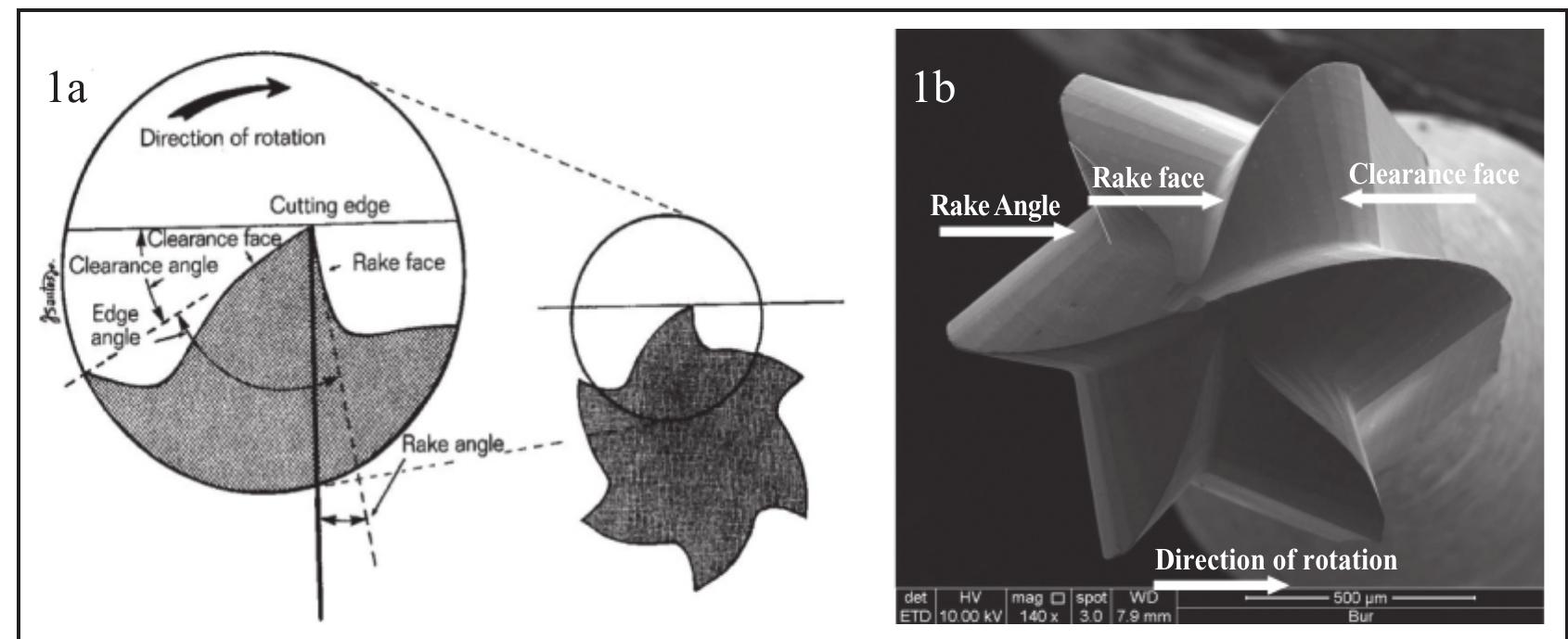 A) schematic diagram indicating the rake angle of a dental