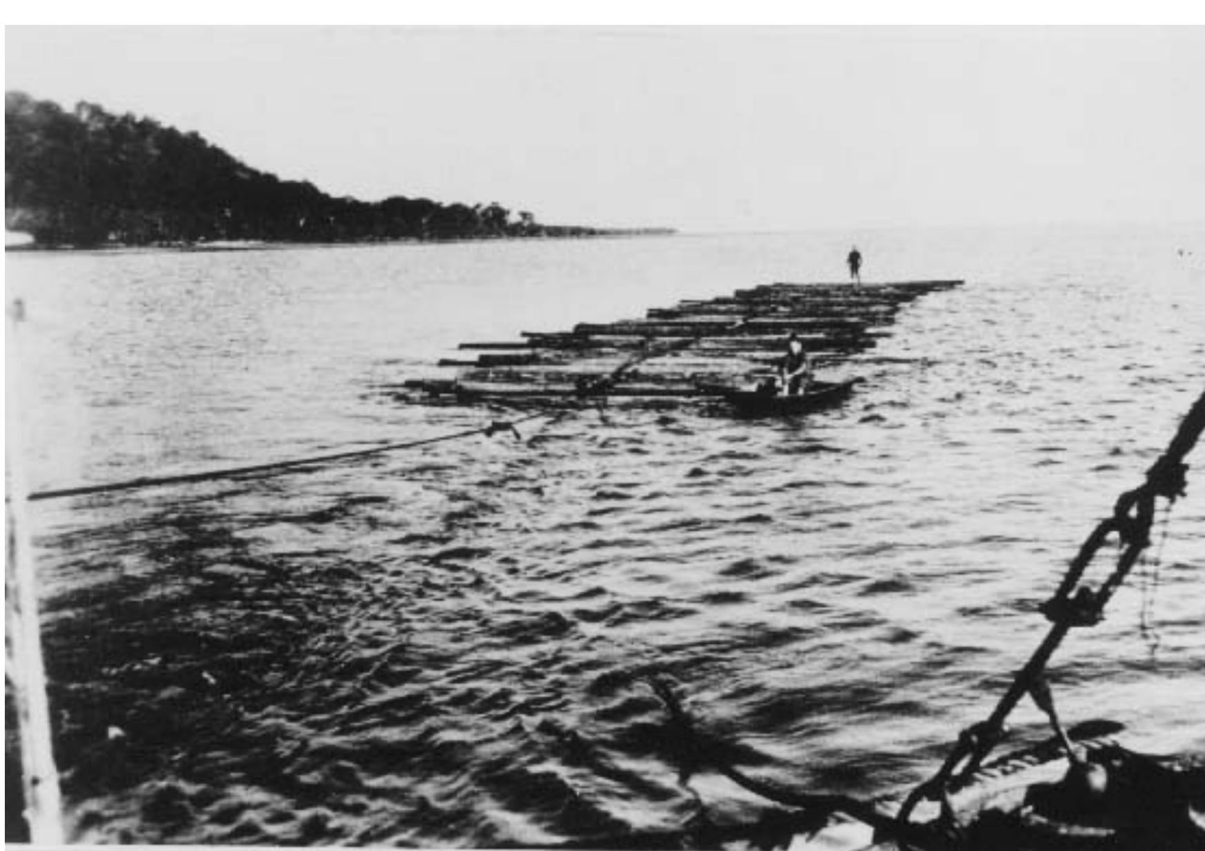 Log raft, fraser island, no date.