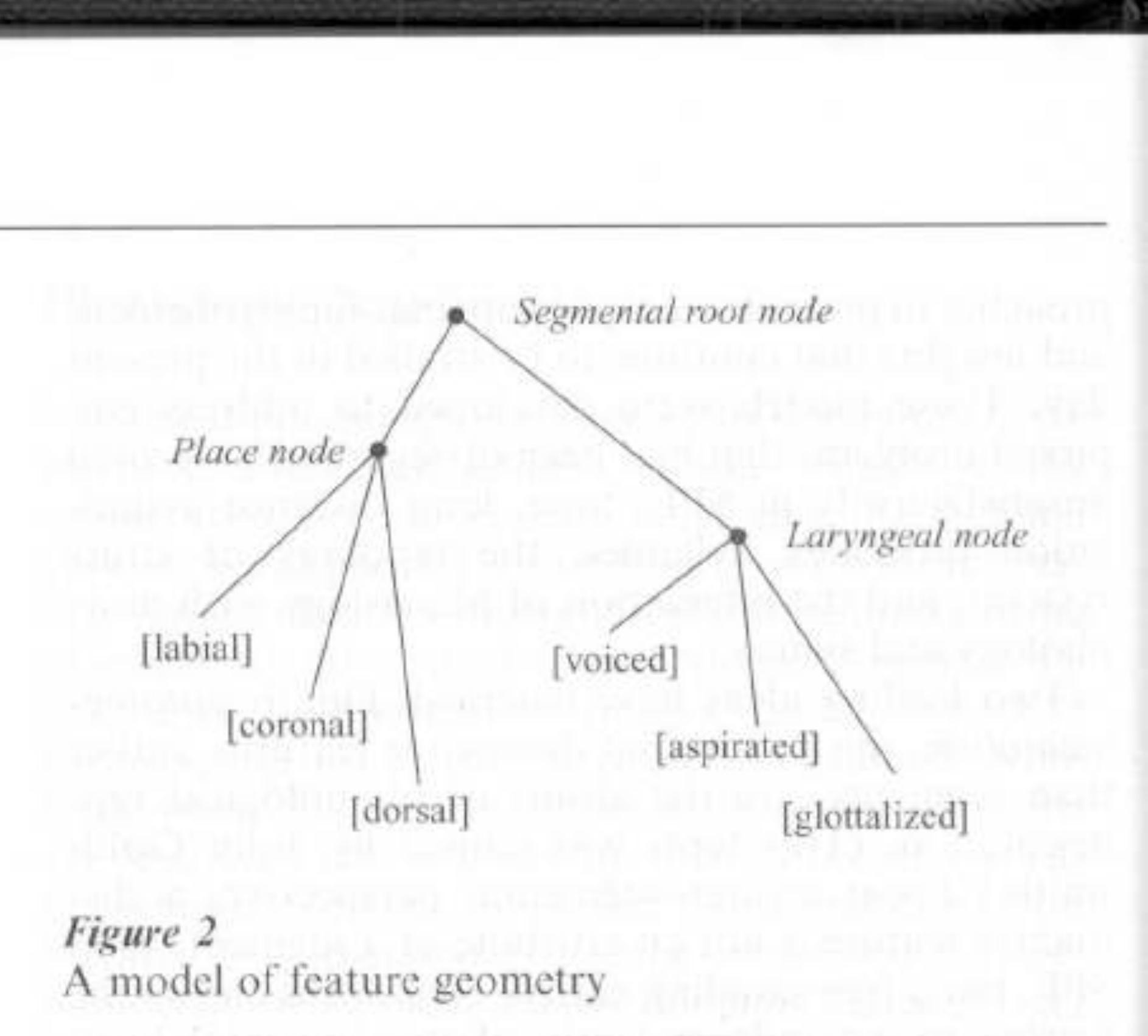 Figure 1 - from Nonlinear phonology