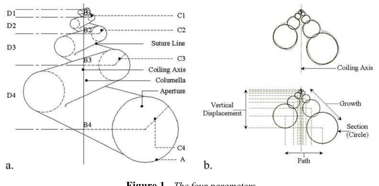 The study of seashells has a long history, starting with