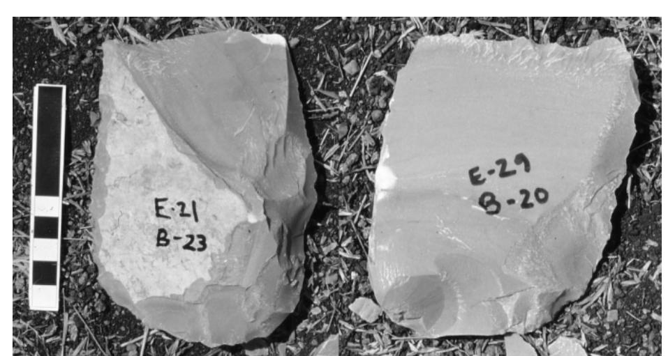 15 dorsal surface of experimental cleaver 23 from experiment