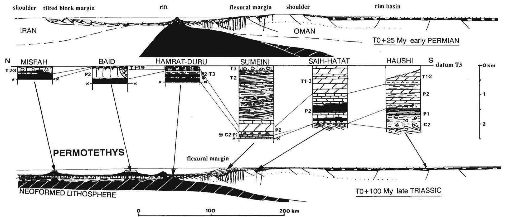 Early permian and late triassic palinspastic cross-section