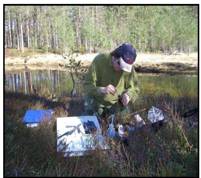 Figure 2 - from Forensic Ecology Handout