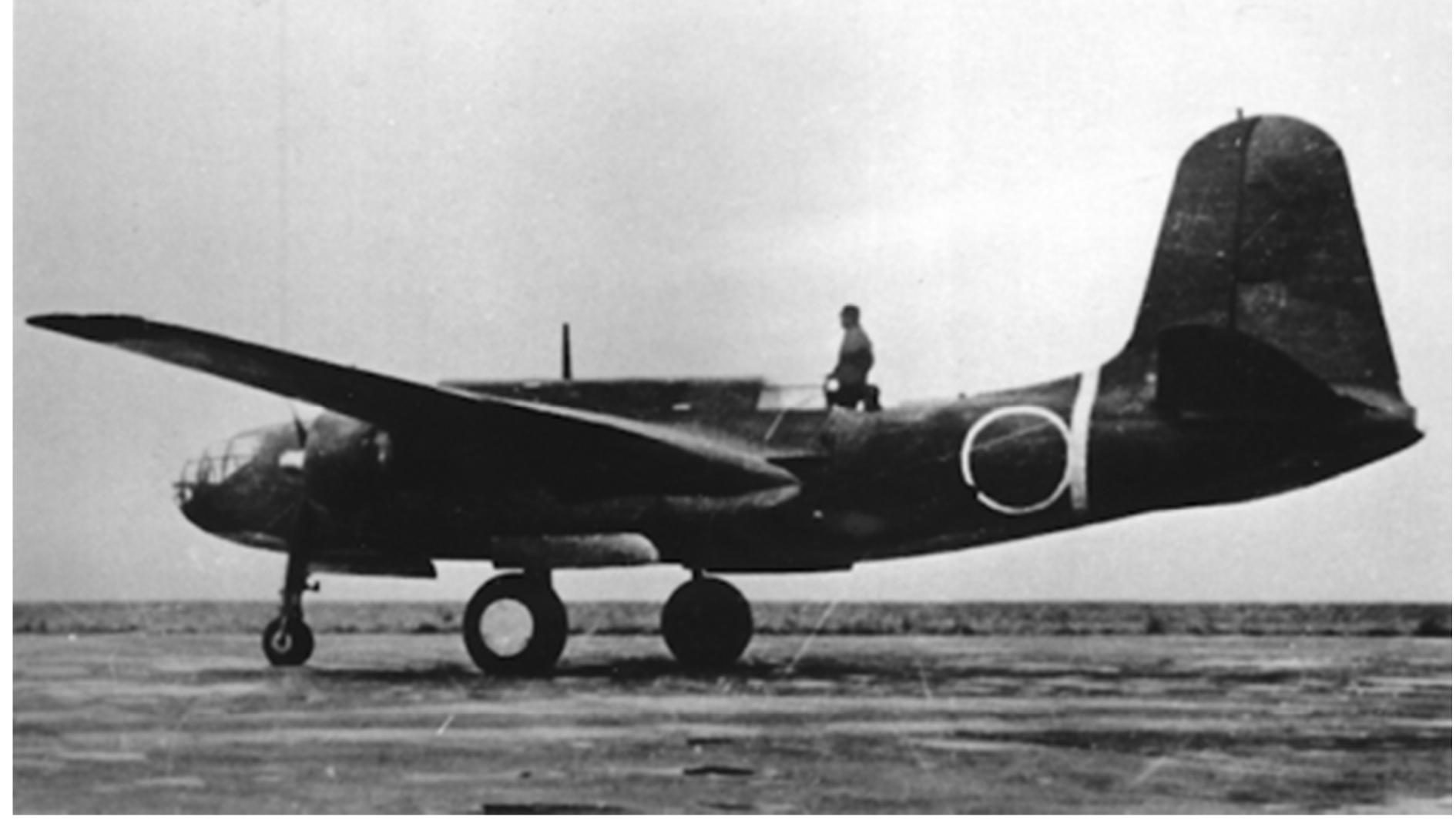 Picture 6: the flight-ready db-7b the japanese captured