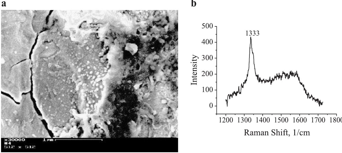 Sem image (a) and raman spectra chart (b) of a cracked
