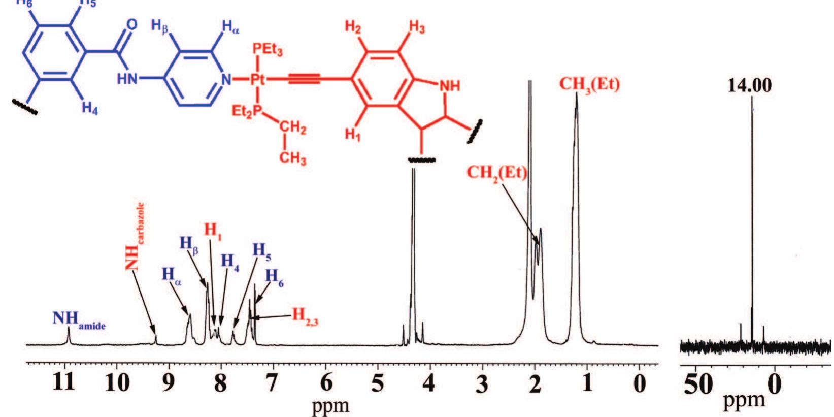 'h nmr (left) and *!p nmr (right) spectra of the macrocycle