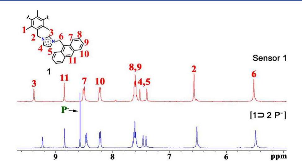 'h nmr spectra of sensor 1 (red) and its pa complex (blue)
