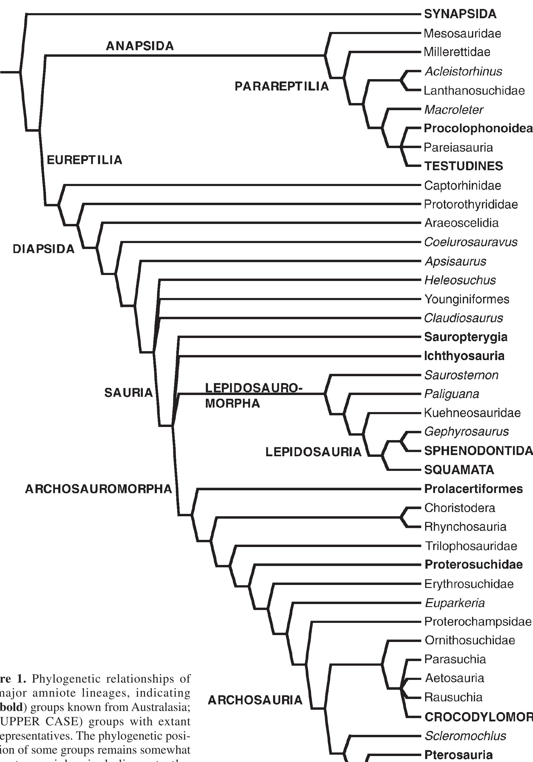 Figure 1 - Dinosaurs and other Mesozoic reptiles of