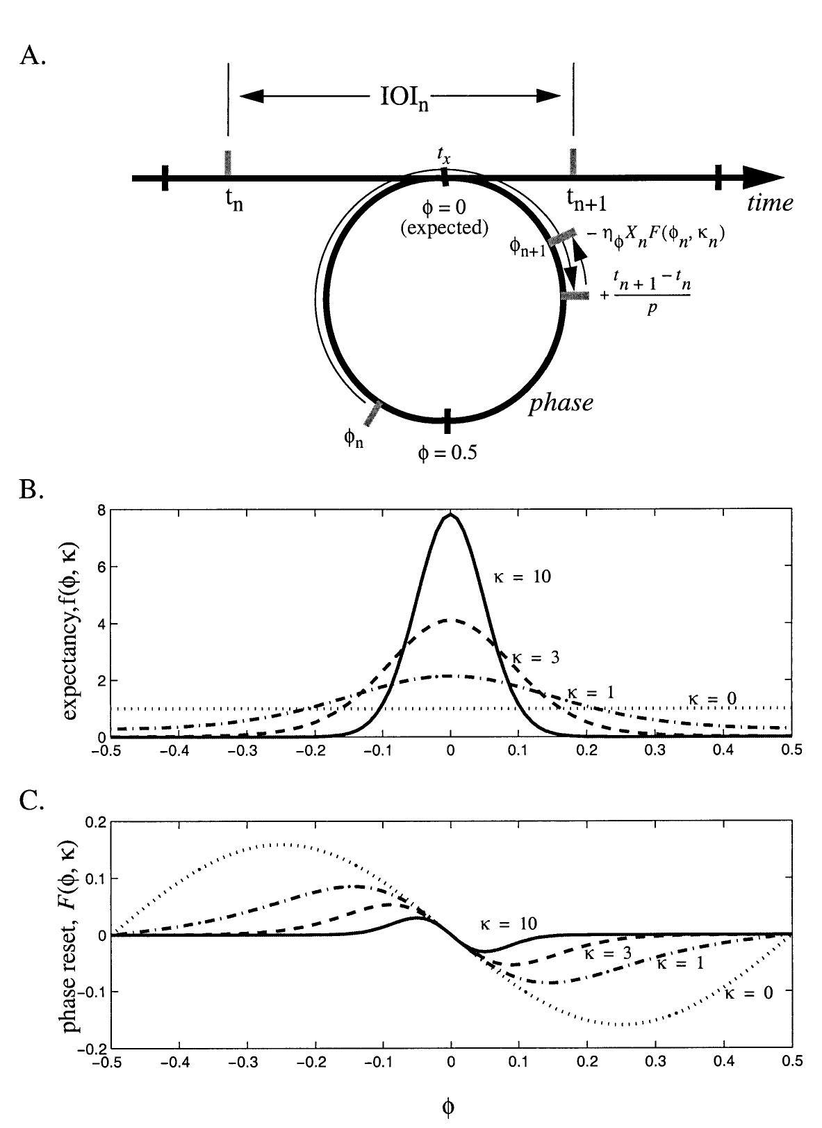 A) the modified circle map (equation 2) takes the time of