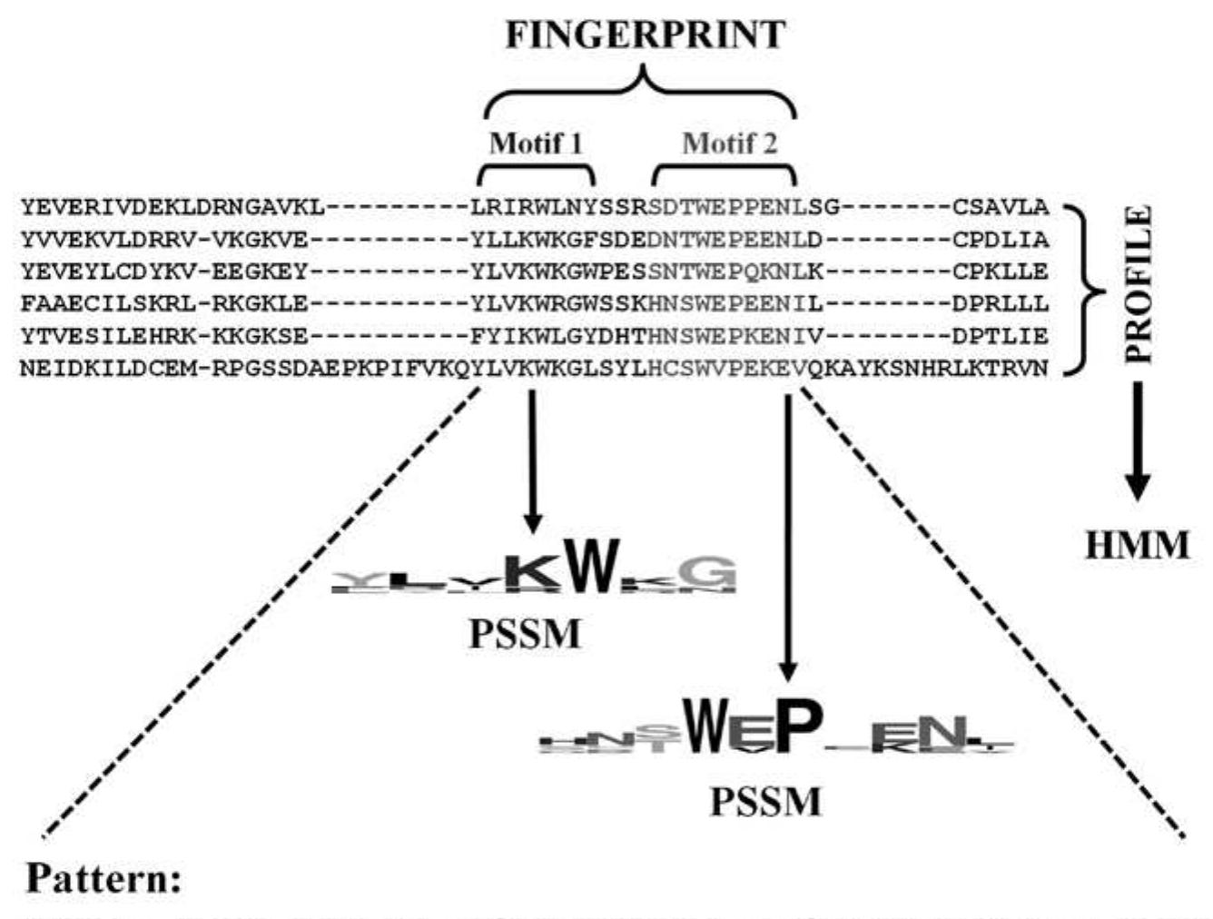 Schematic representation of the different types of
