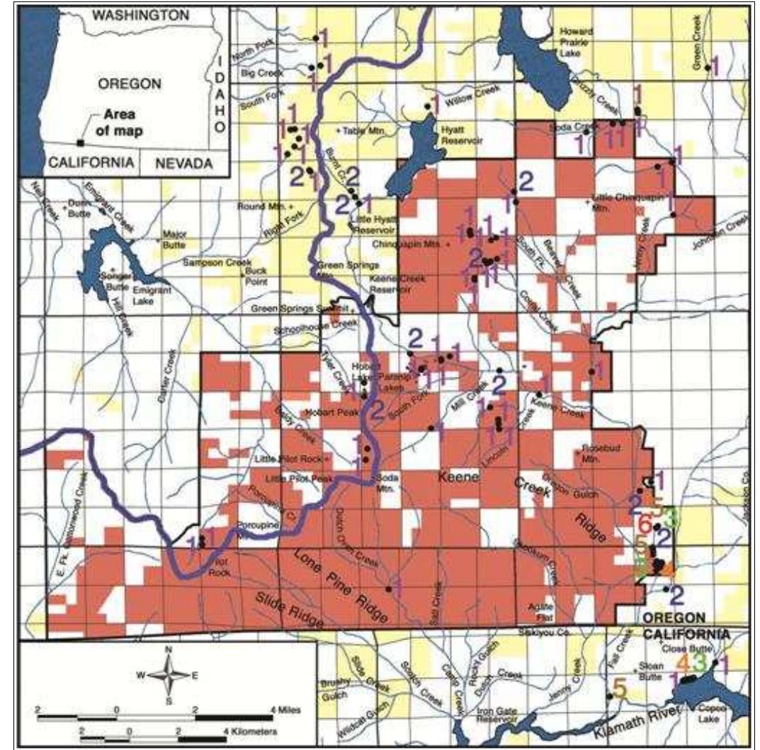 Current csnm configuration with a checkerboard pattern of