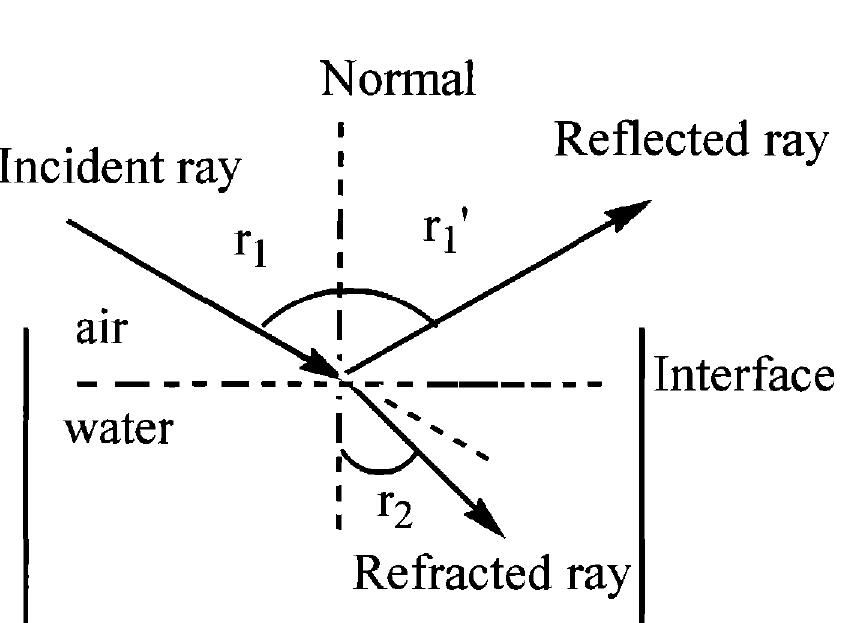 A ray diagram of refraction and reflection showing the angle