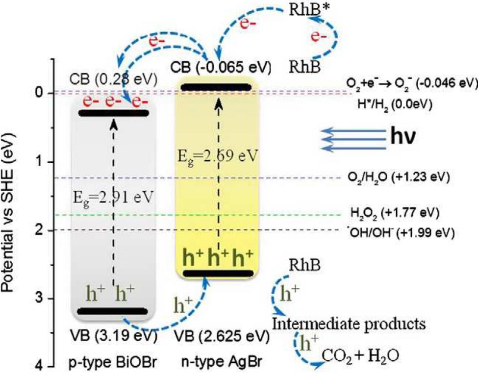 Schematic electronic band diagram of the agbr-biobr system.