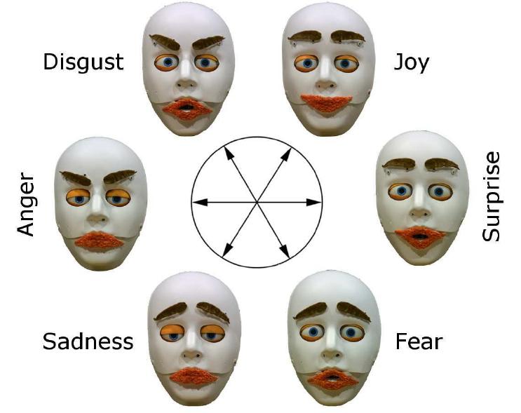 Facial expressions used to display the emotional state of