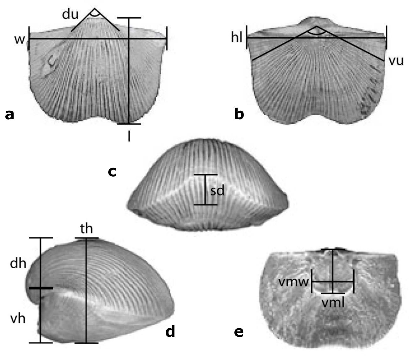 Figure 7 - GIS Based Biogeography of Cincinnatian (Upper