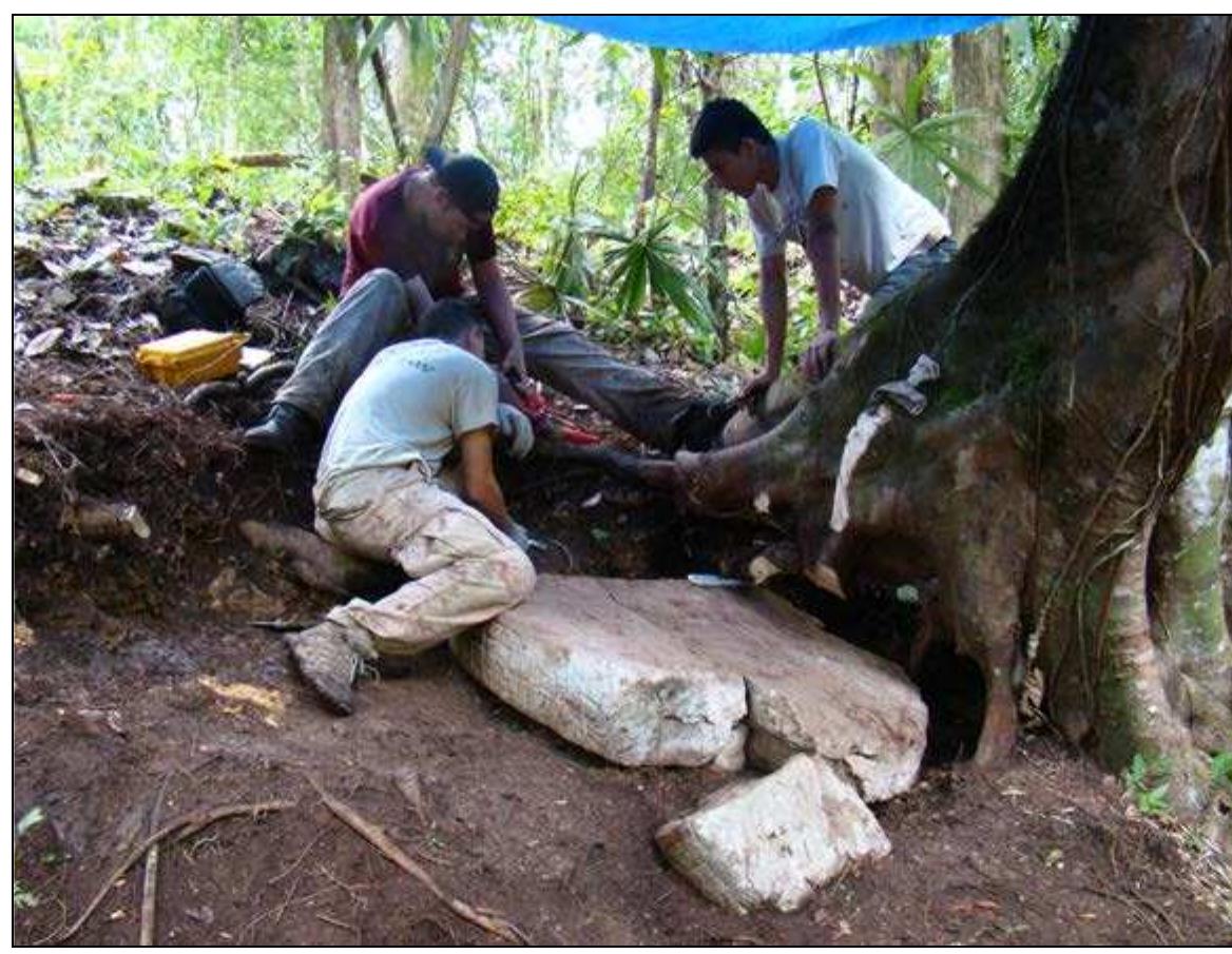 6. photograph of tipan monument 1 during excavation showing